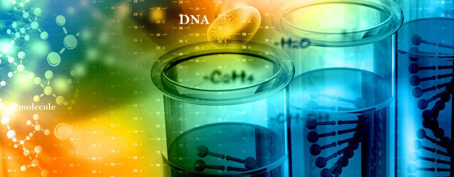 Learn More About the Benefits of DNA Tests